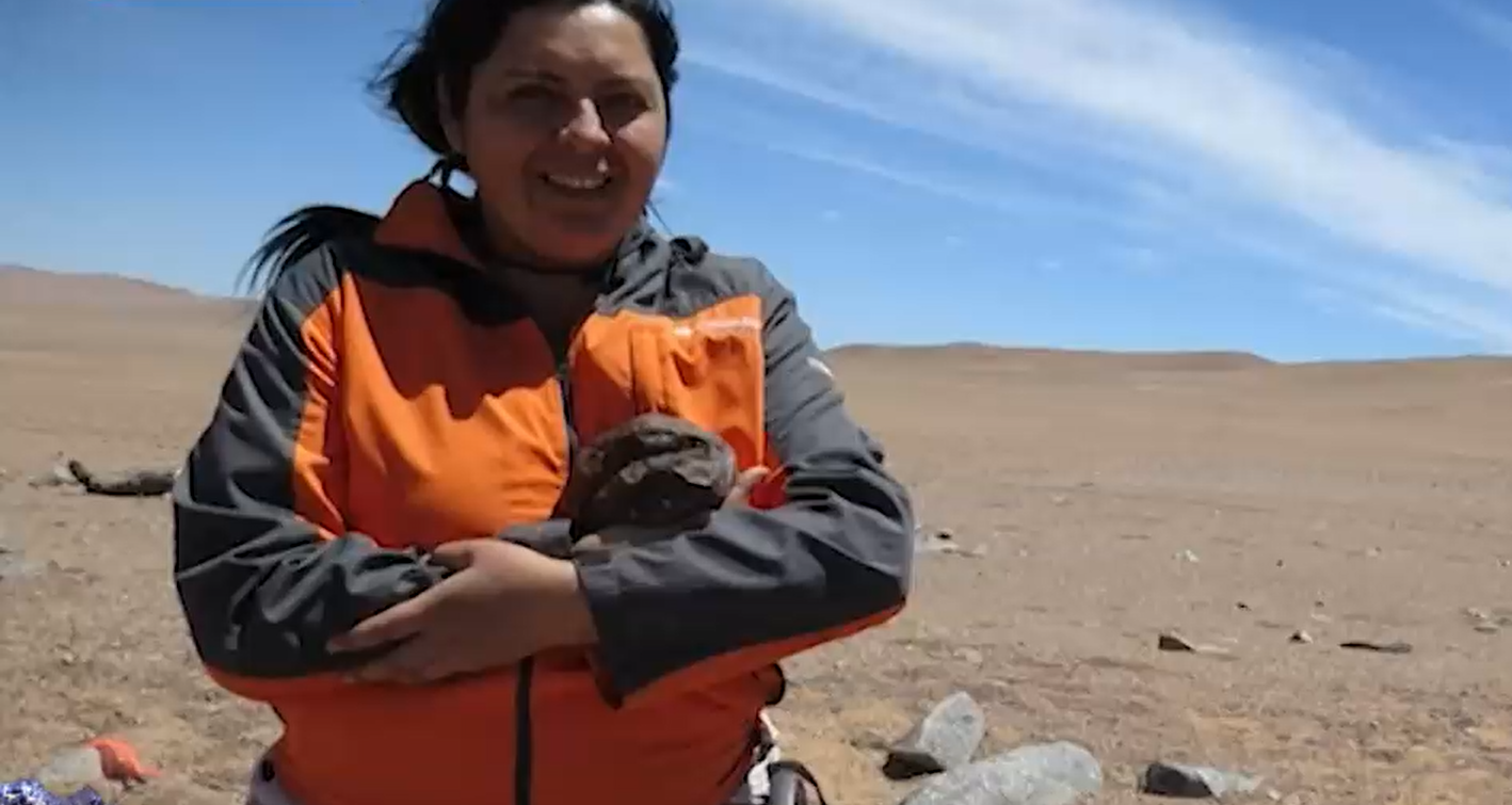 Millarca Valenzuela, la geóloga que rescata y busca proteger meteoritos