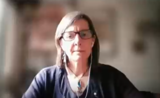 Arlene Tickner por reunión de Boric con Márquez: “Marca la importancia ...