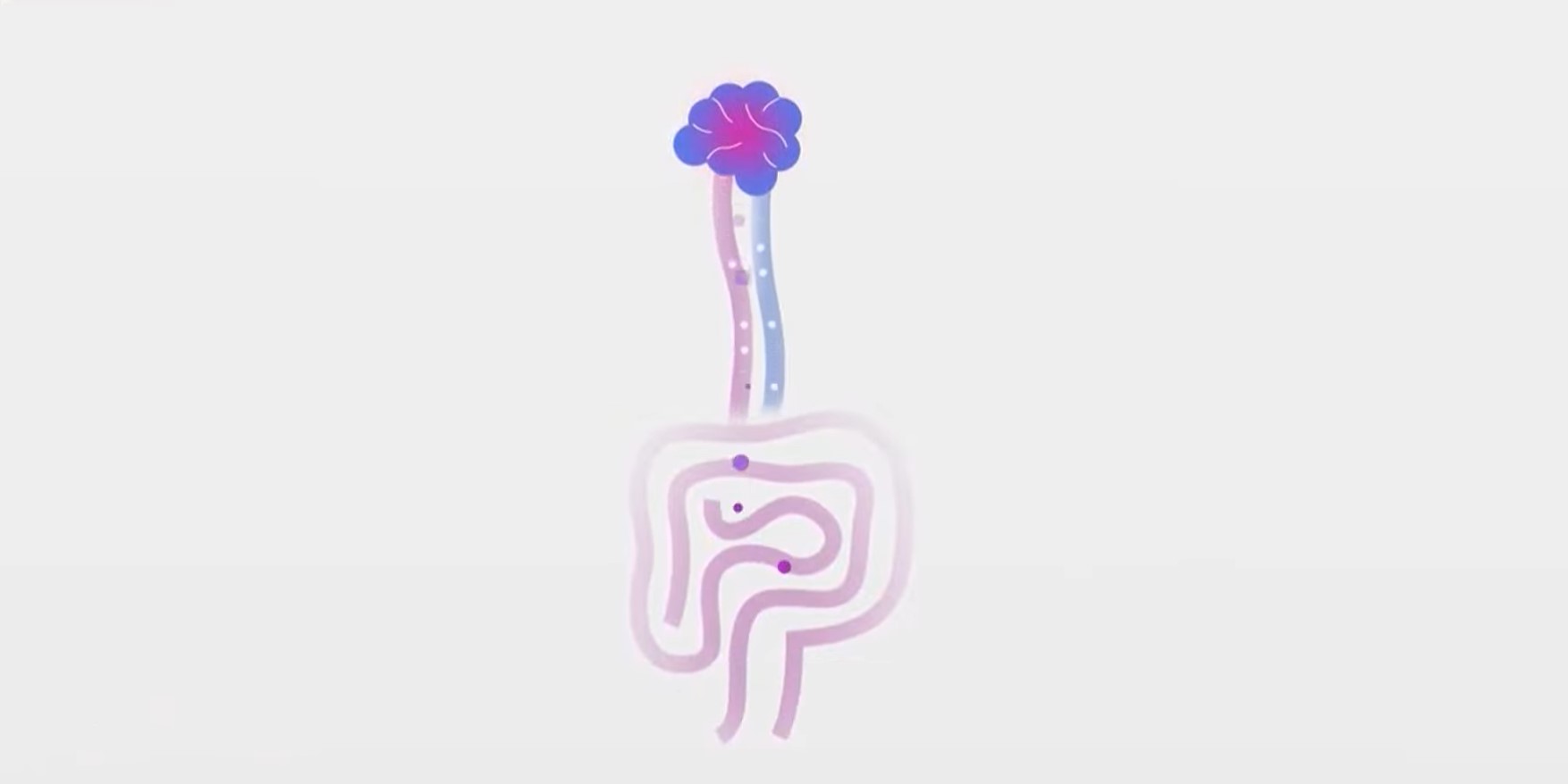 Cerebro y estómago: La relación entre la alimentación y los estados de ... Cerebro y estómago: La relación entre la alimentación y los estados de ...
