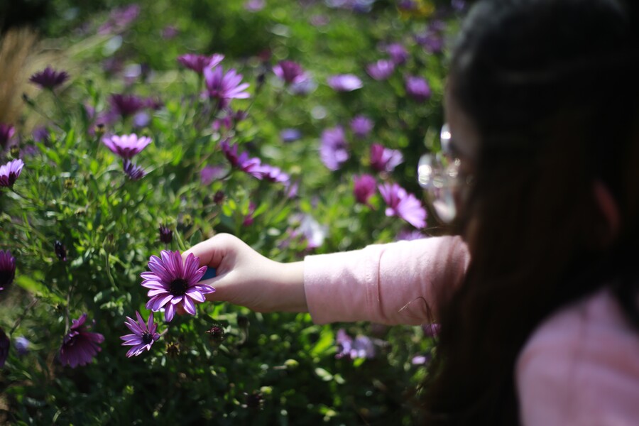 ¿Cuándo comienza oficialmente la primavera en Chile?