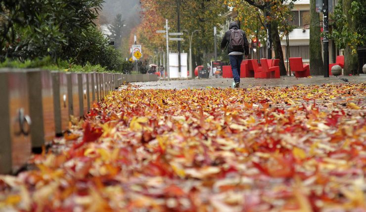 El verano entra en la recta final: ¿Cuándo y a qué hora comenzará ...