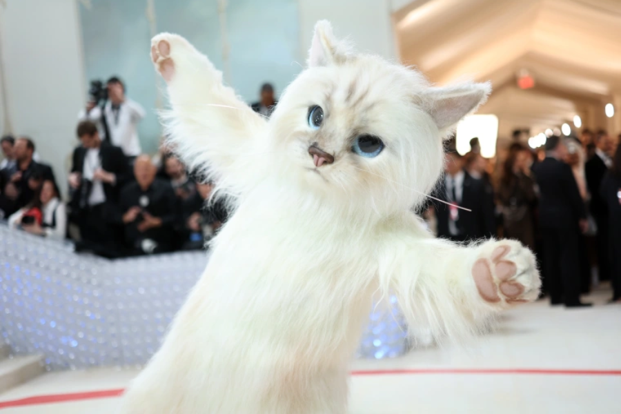 Jared Leto se disfrazó del gato de Karl Lagerfeld en la Met Gala 2023 ...