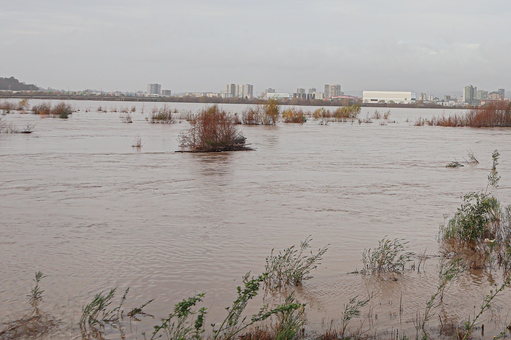Senapred declara alerta roja para la comuna de Concepción por desborde ...