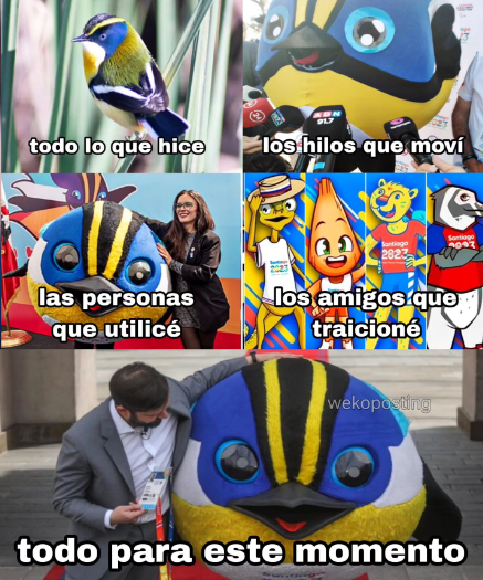 “Pedí un Fiu y me llegó un Ñiu”: Revisa los mejores memes que ha dejado ...