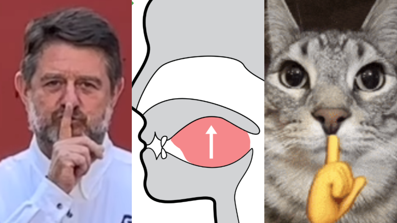 Qué es el “mewing”, el trend de TikTok que Claudio Orrego hizo al revés ...