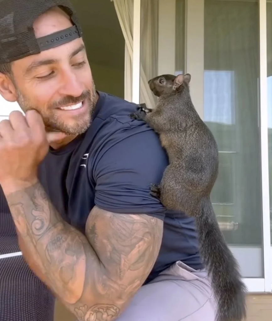 ¿Por qué sacrificaron a la ardilla Peanut en Estados Unidos? Hombre que la acogió anunció que ...