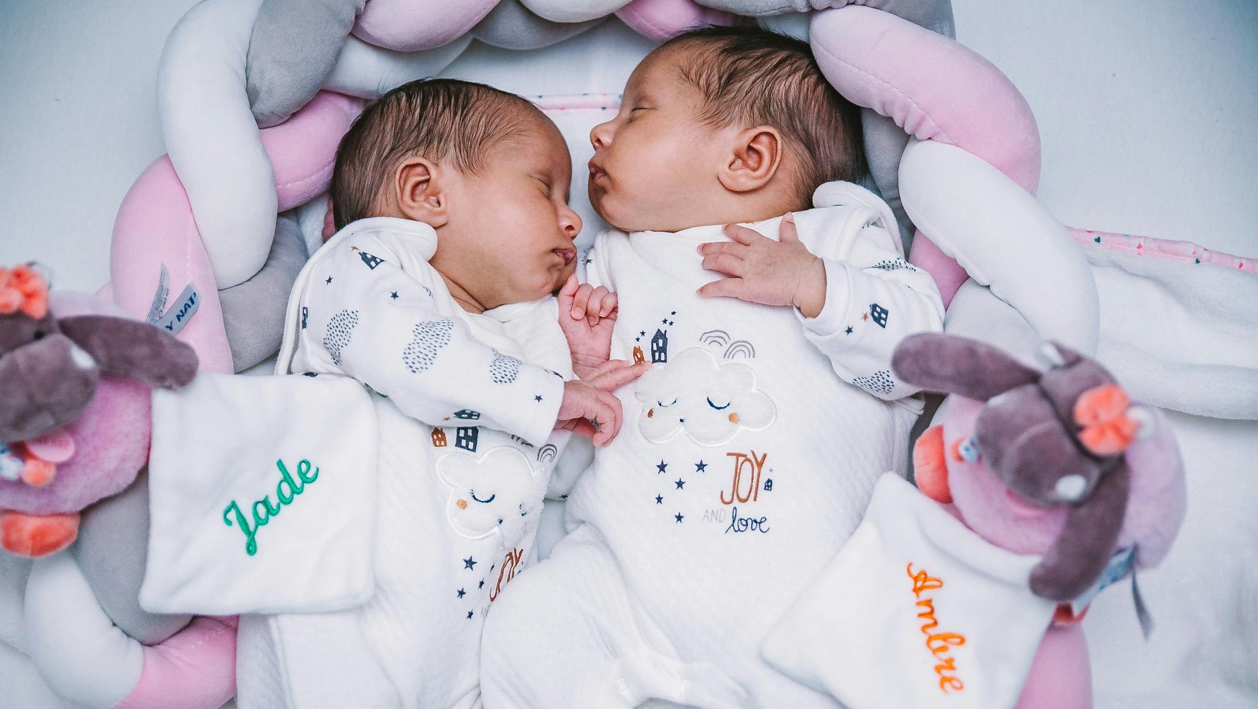 Año Nuevo: ¡Bienvenida, Generación Beta! Conoce las características de ...