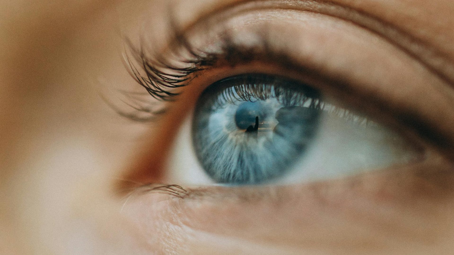 Investigadores descubrieron un nuevo color denominado “olo”: Solo cinco ...