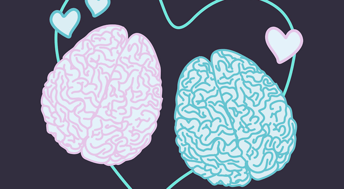 Neurocientíficos revelan qué partes del cerebro se activan con el amor