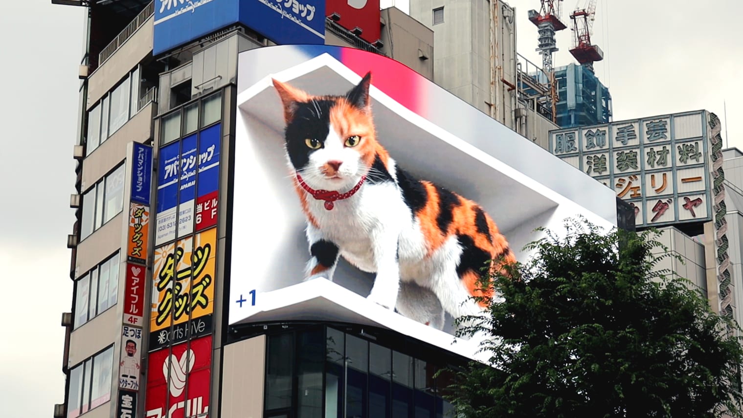 Tokio: Gato gigante en 3D se apoderó de una concurrida calle