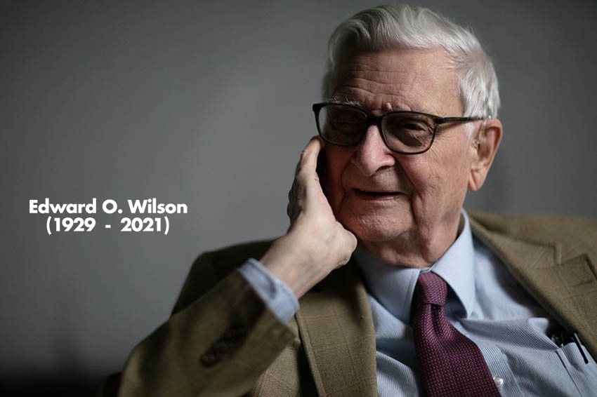 A los 92 años murió Edward O. Wilson, naturalista conocido como el ...