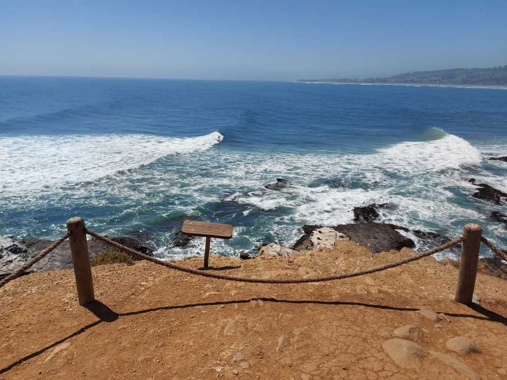 Ocho Curiosidades sobre Punta de Lobos, un verdadero “hotspot” de ...