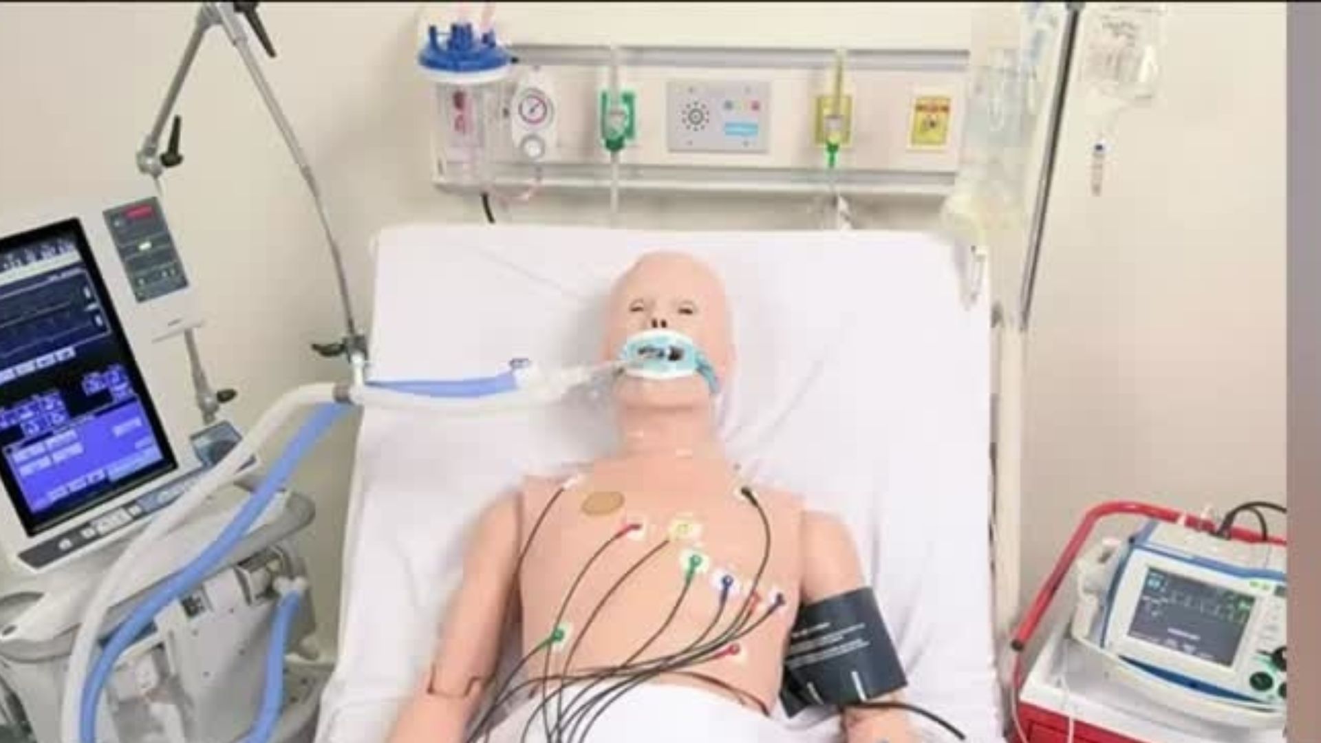 Revolutionizing Healthcare Education: Exploring the Cutting-Edge HAL Phantom and its Clinical ...